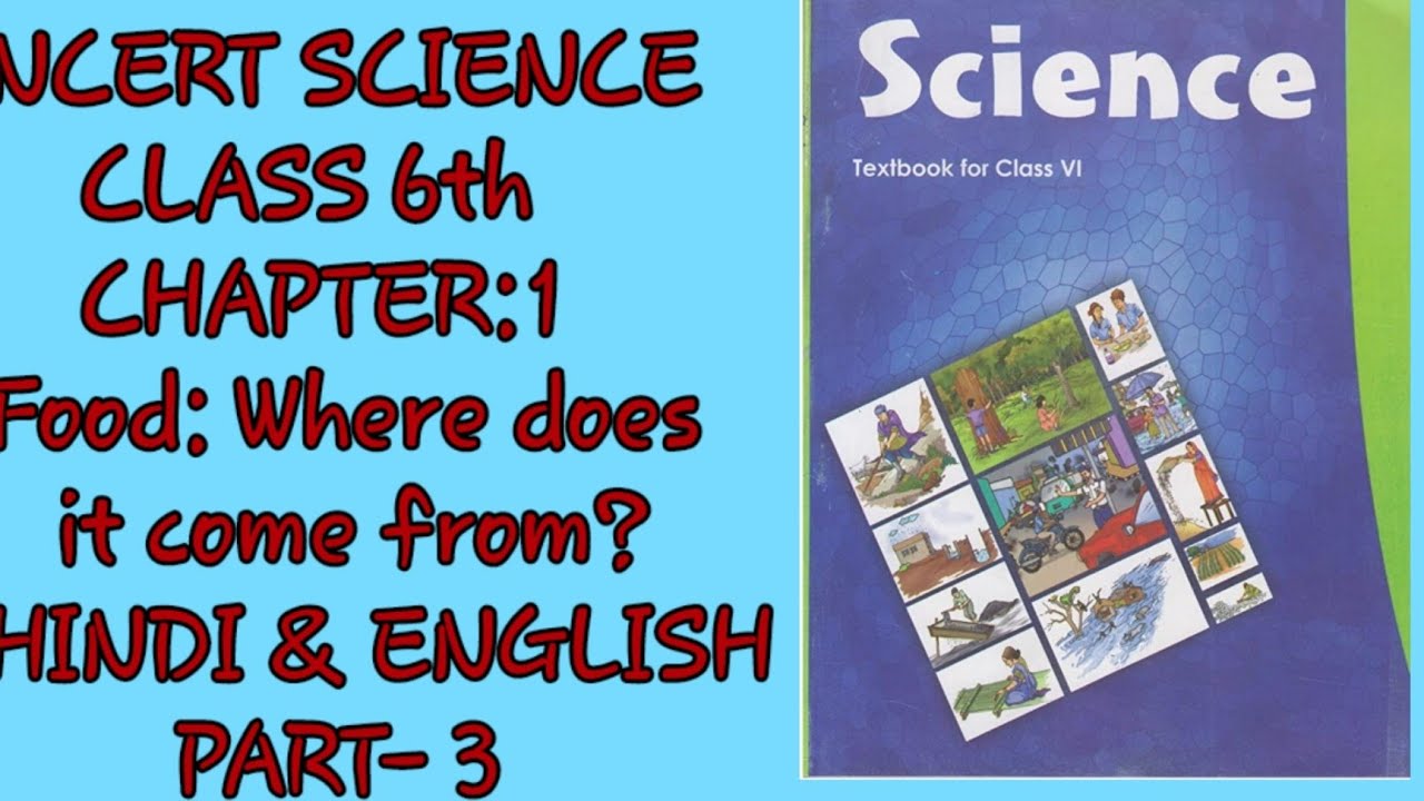 NCERT Class 6th Science Chapter 1 Food Where Does It Come From NCERT Class 6th Science Chapter 1 Food Where Does It Come From