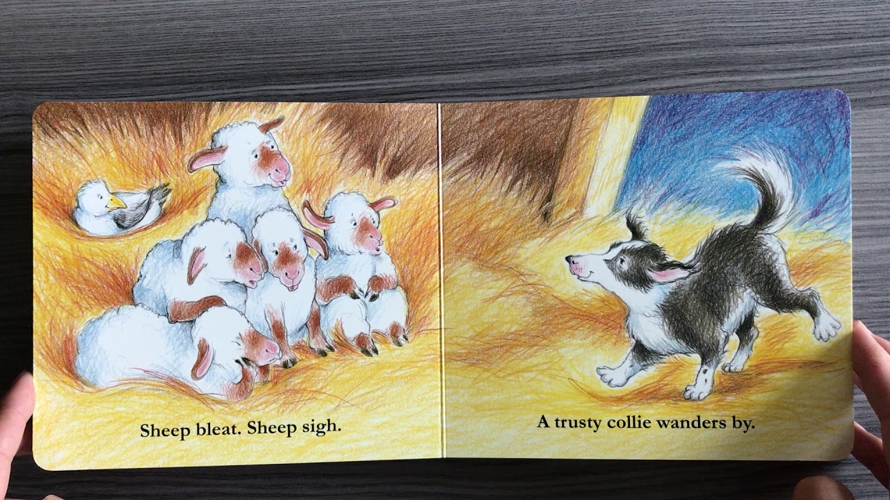 Sheep Go to Sleep (board book) by Nancy E. Shaw - YouTube