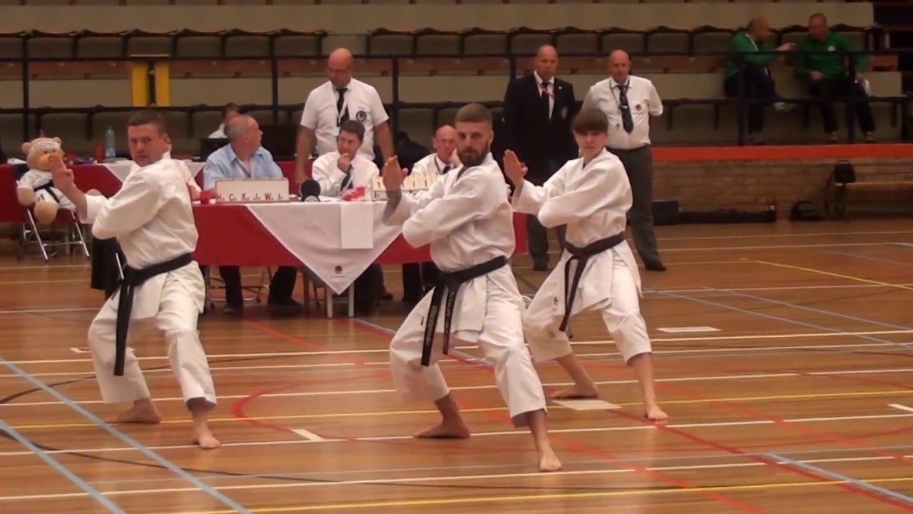WJKA. 5th world championships karate. Netherlands, 2015 - YouTube