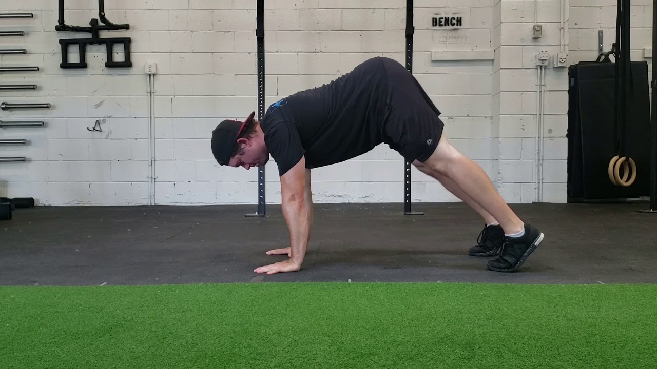 Quadruped Knee Extensions - YouTube