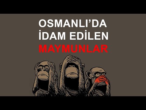 Osmanlı'da İdam Edilen Maymunlar