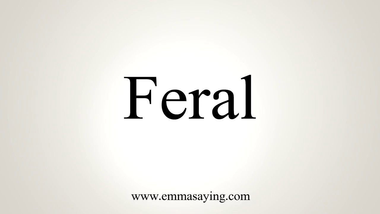 How To Pronounce Feral - YouTube