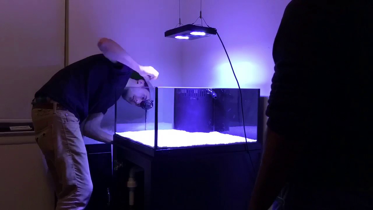 30 gallon deep blue rimless tank rock work. - YouTube