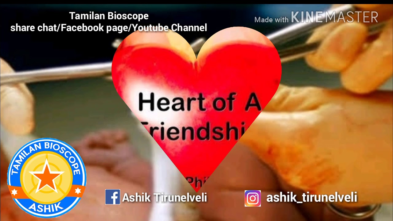 Whats Up Status || Friends forever - YouTube