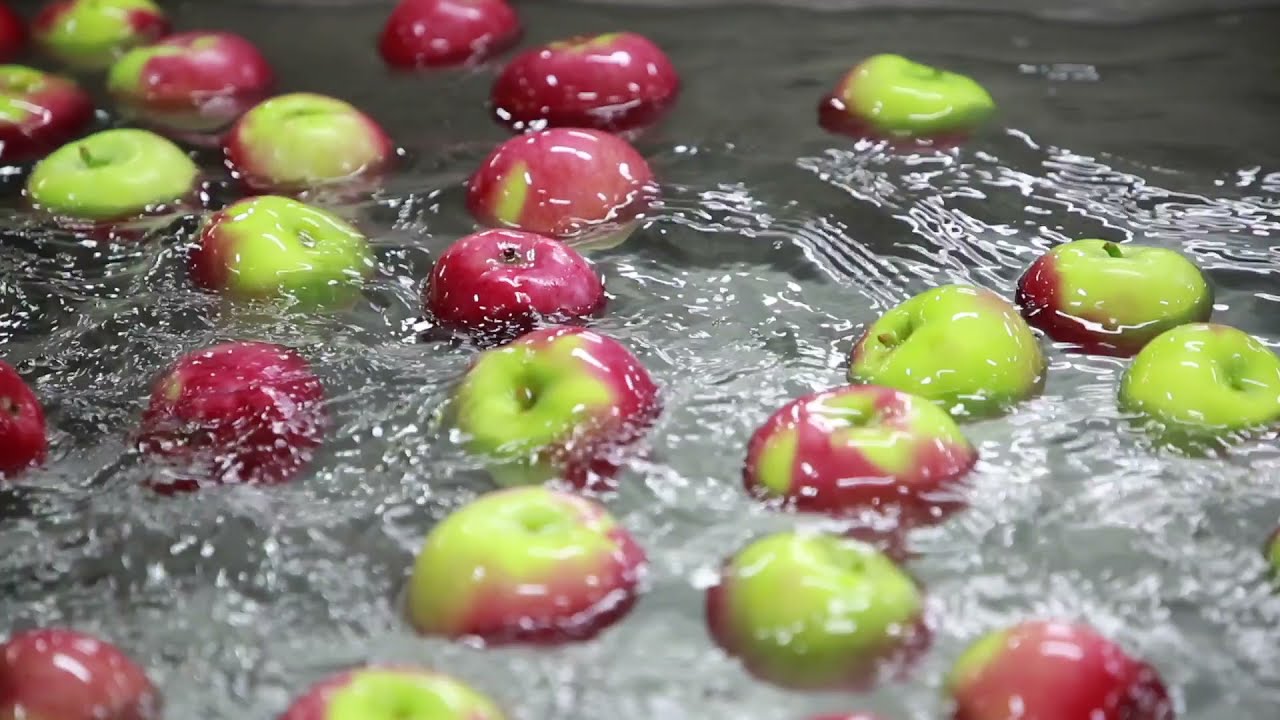 Ontario Apple Packline Process - YouTube