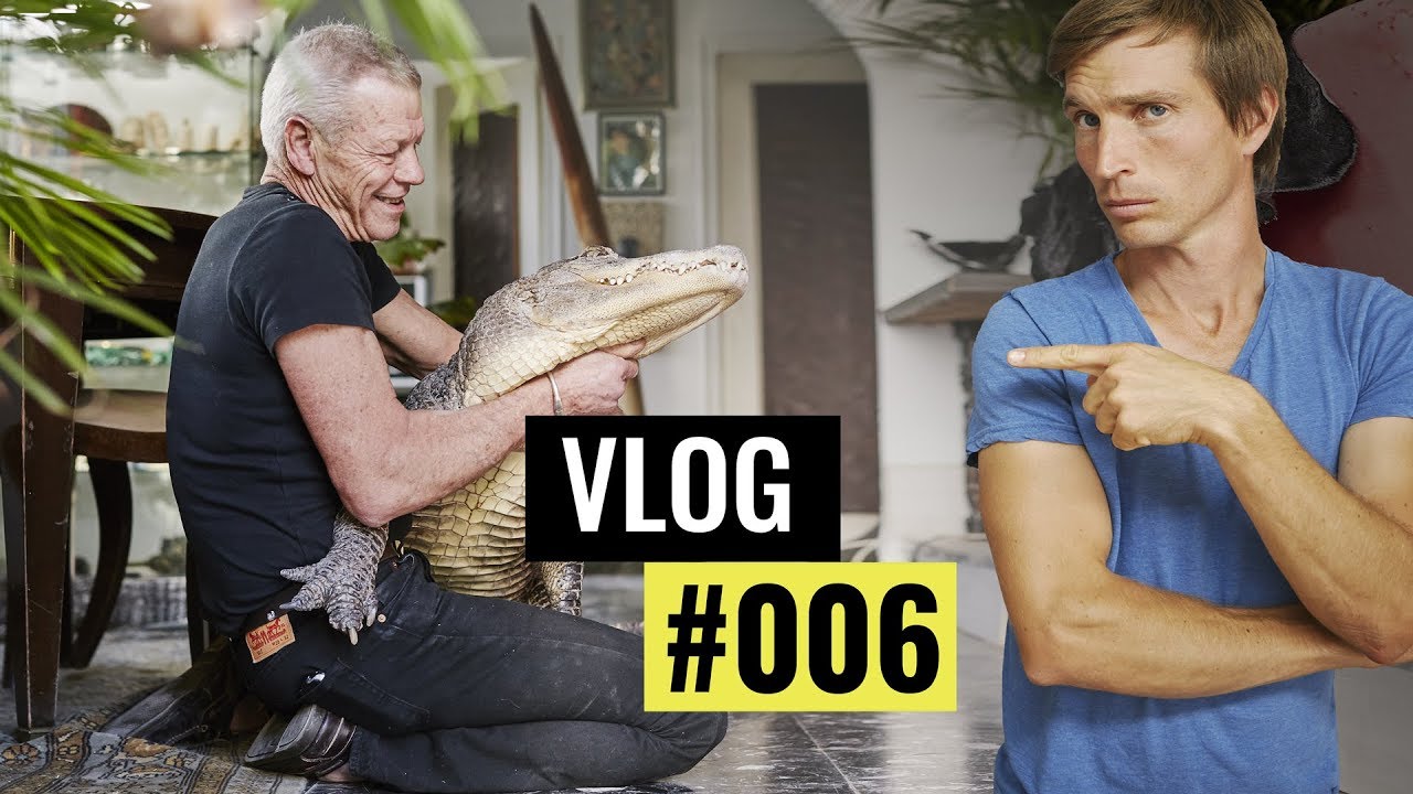 MON SHOOTING PHOTO AVEC DES CROCODILES ! (feat Philippe Gillet) - YouTube