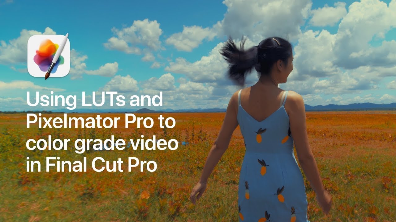 Using LUTs to Color Grade Video in Final Cut Pro – Pixelmator Pro Tutorial - YouTube