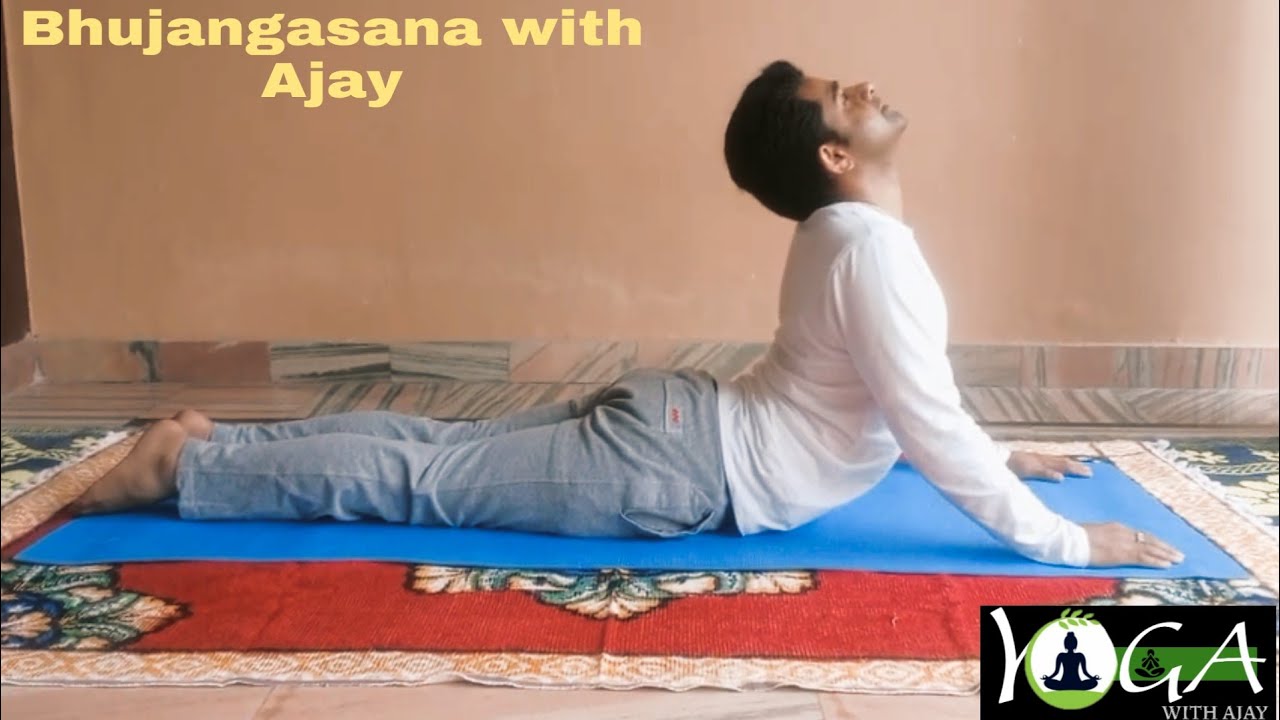 Bhujangasana (Cobra Pose Yoga) - YouTube