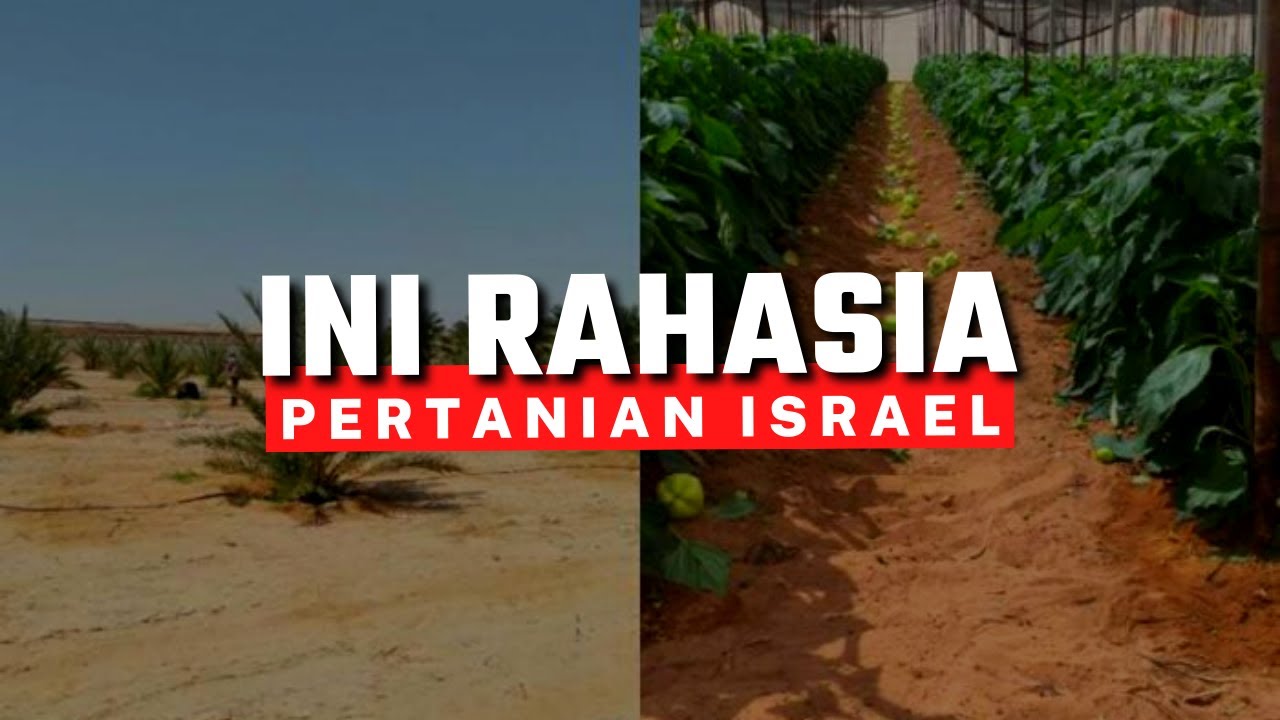 Ini Rahasia Israel Merubah Gurun Menjadi Ladang Pertanian Subur ...