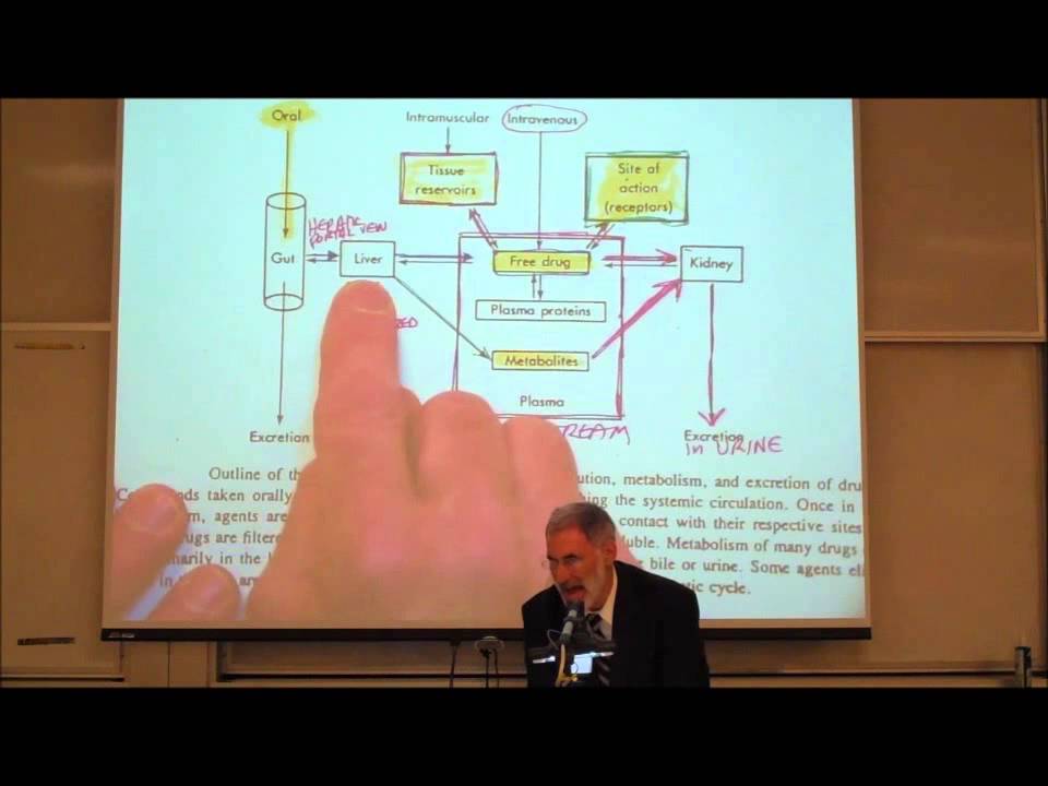 PHARMACOKINETICS; Absorption & Distribution by Professor Fink - YouTube