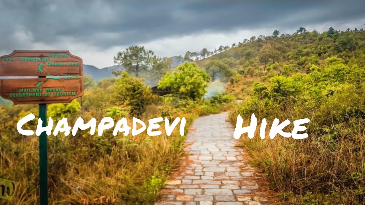 Hike to CHAMPA DEVI and BHASMASUR HILL /Full route details - YouTube