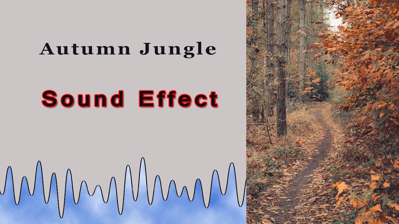 Insects sound - Autumn Jungle Forest Insects Multi-Sound Effect - Free ...