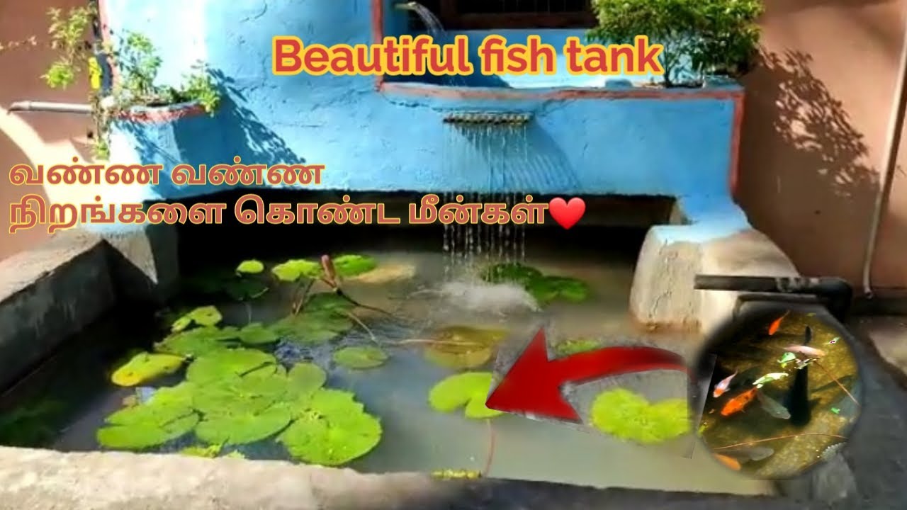 Beautiful waterfall fish tank - YouTube