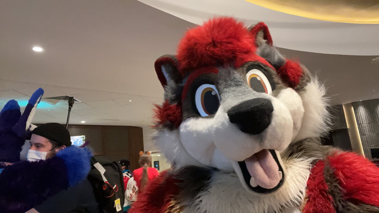 Live at Confuzzled 2022 - Saturday 29th May - YouTube