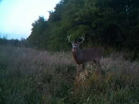 Stewartsville Missouri Racks - YouTube