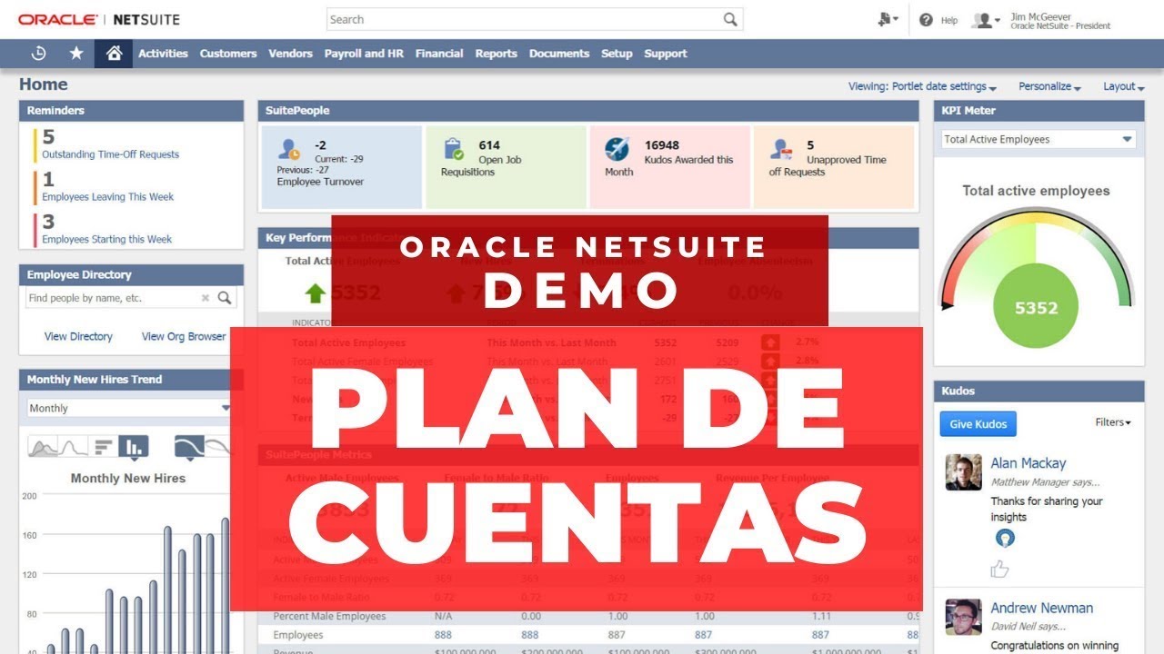 NetSuite Cloud ERP: software ideal para administrar tu Plan de Cuentas ...