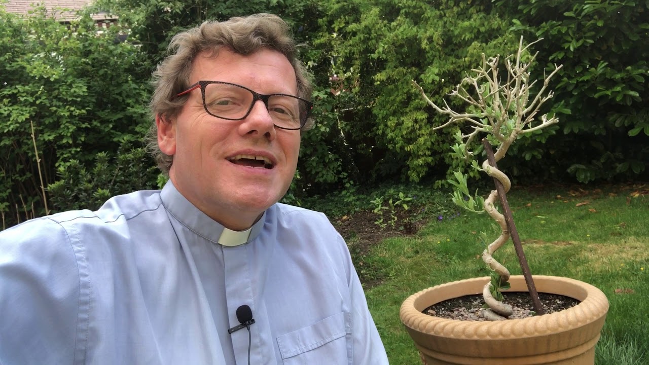 Patience - Staff Reflection - YouTube