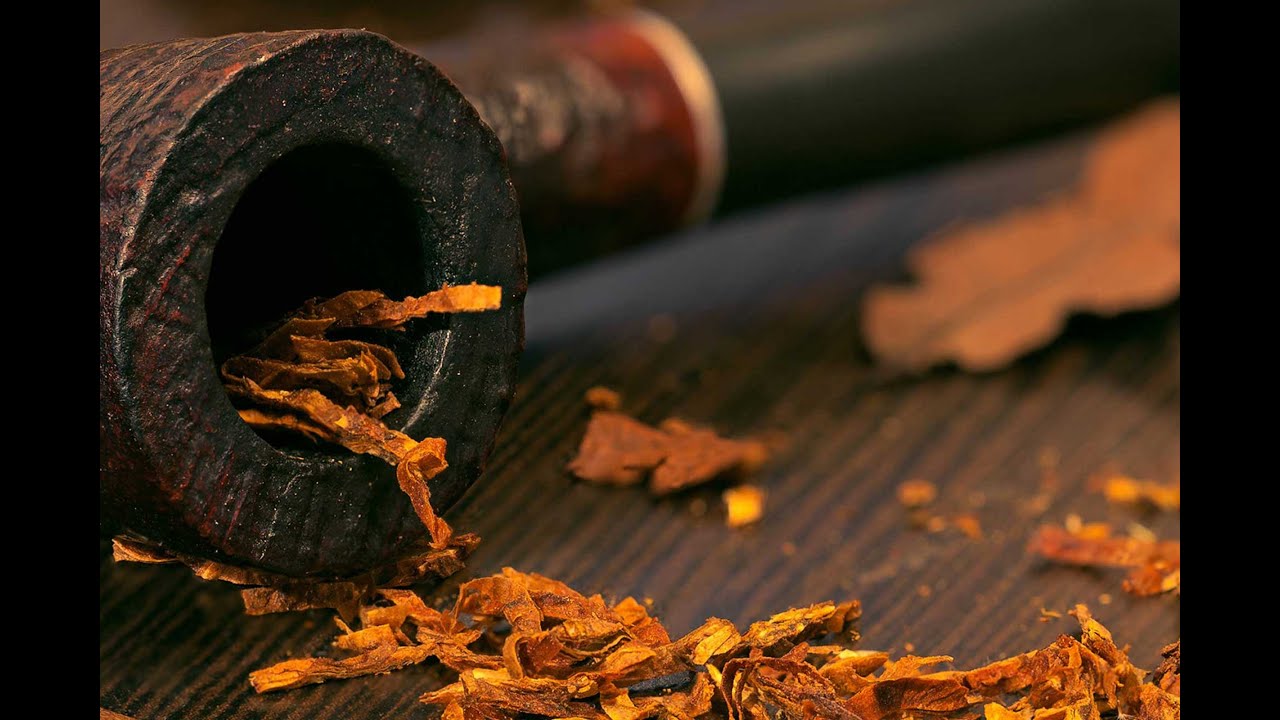 12 Top Notch Tobacco Fragrances (2024) - YouTube