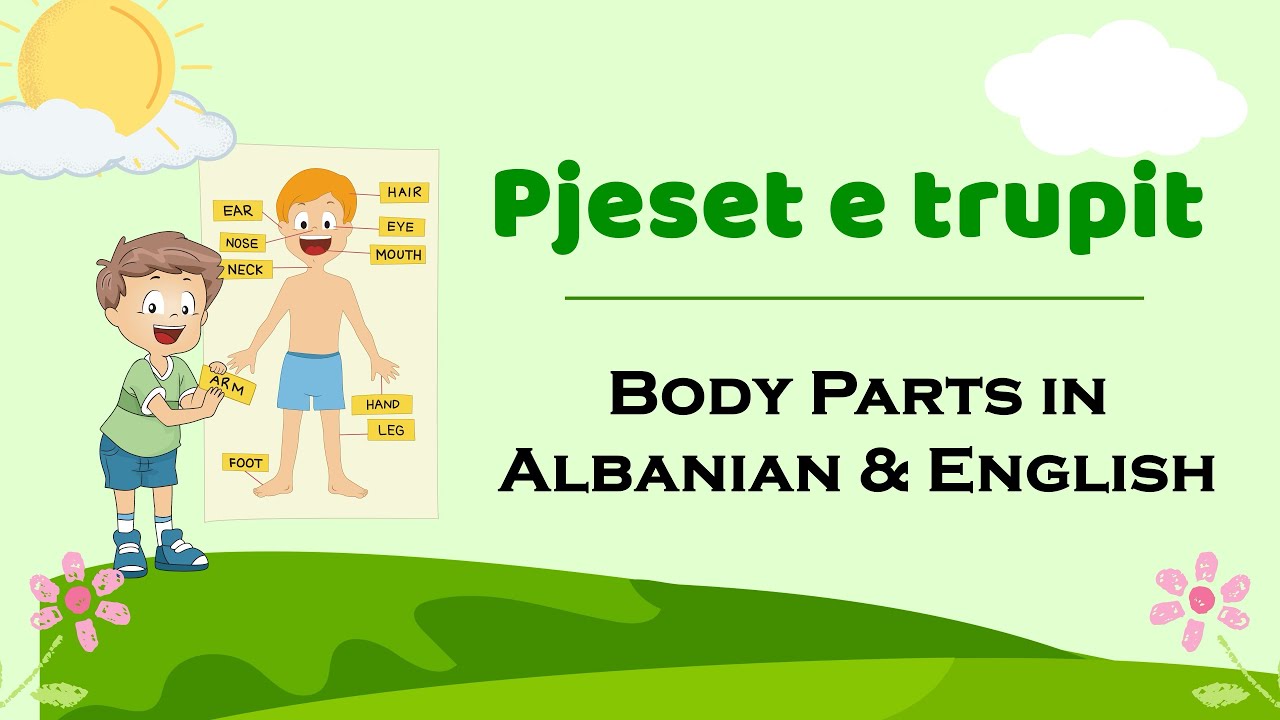 Pjeset e trupit - Body Parts in Albanian & English - YouTube