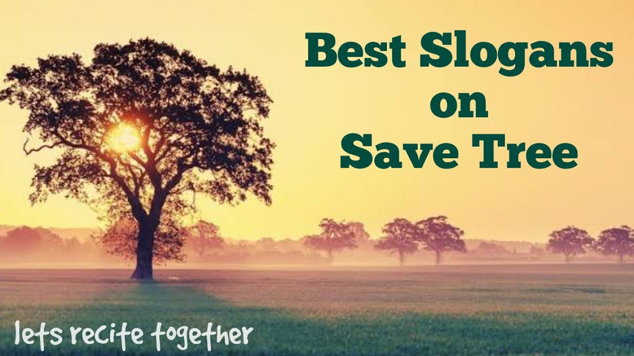 Slogan on Trees in English| Best English Slogan on Save Tree| Save Tree ...