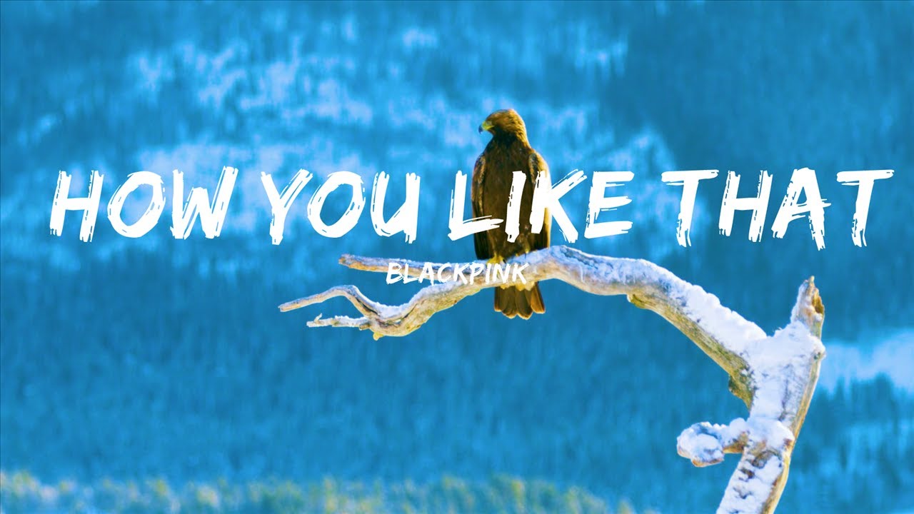 Blackpink - How You Like That (Lyrics) | Full Rom Lyrics / 25 Min - YouTube
