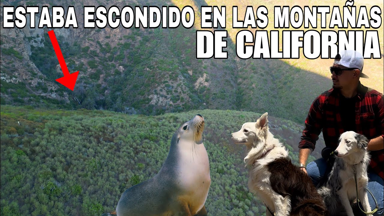 Explorando Arizona En California - YouTube