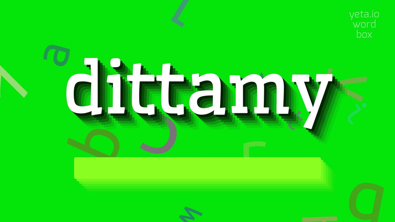 HOW TO PRONOUNCE DITTAMY? #dittamy - YouTube