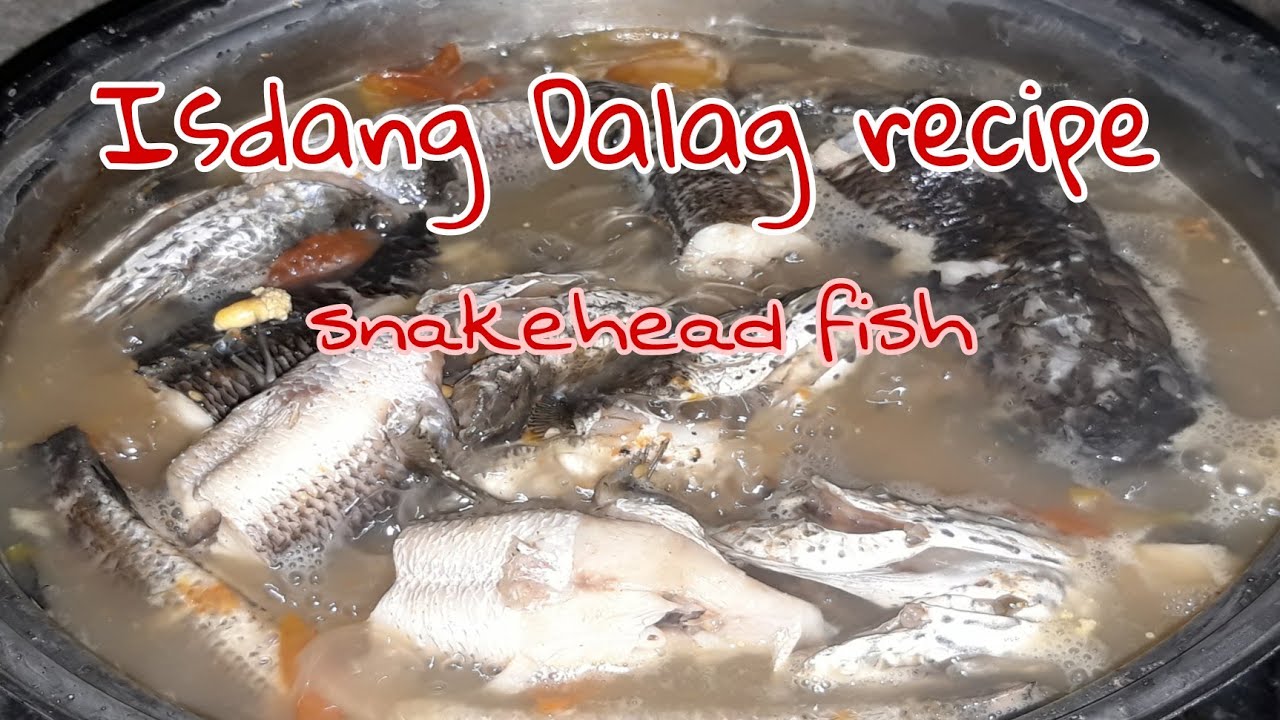 Snakehead fish o isdang dalag recipe - YouTube