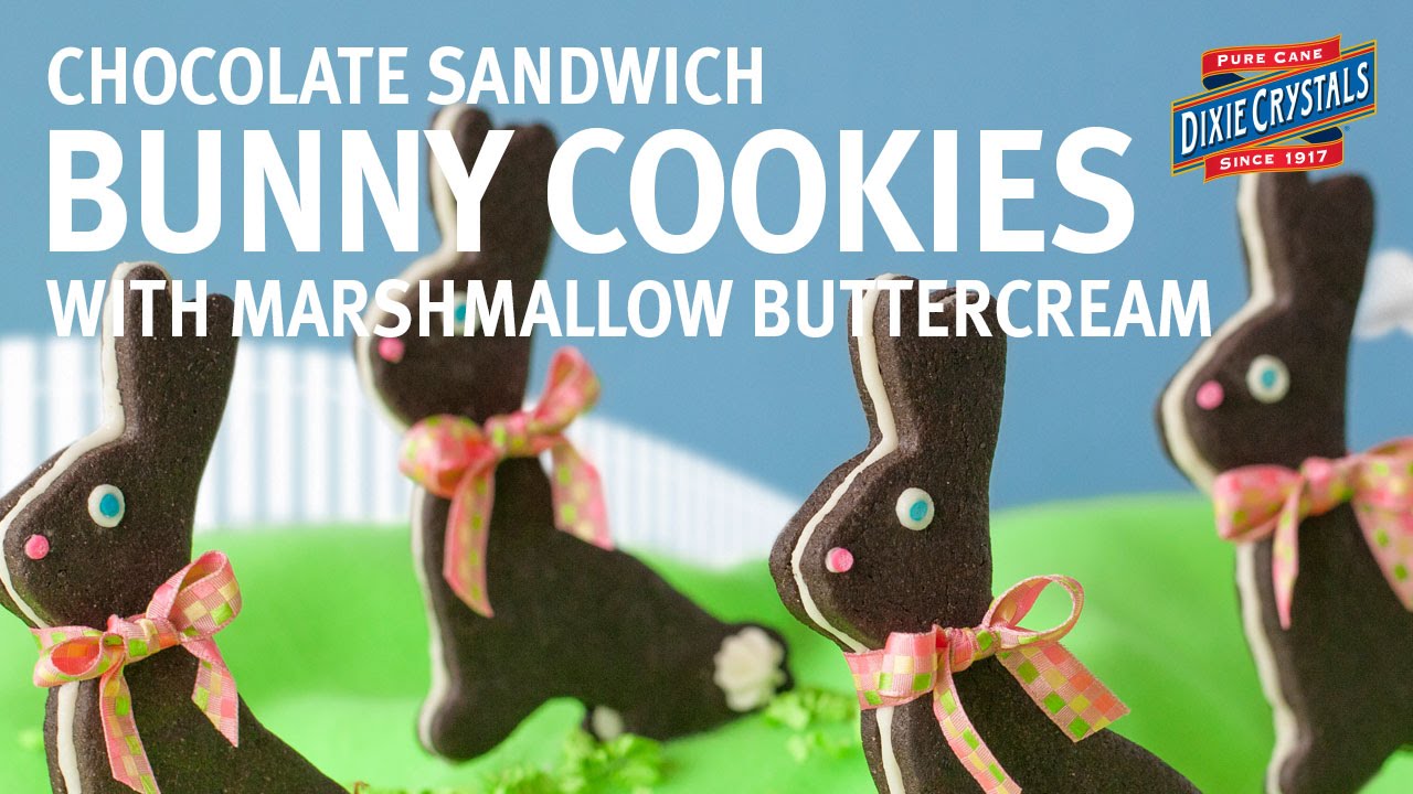How to Make & Decorate Chocolate Bunny Sandwich Cookies with Bridget ...