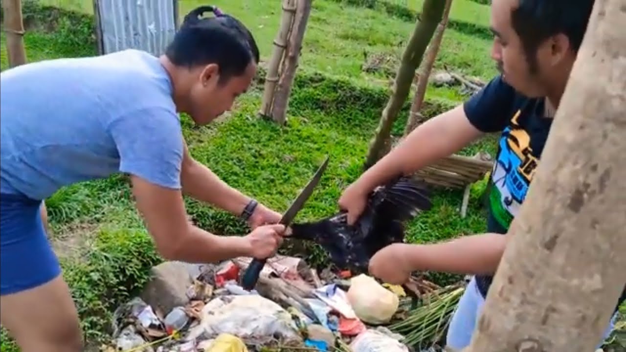 Unsaon pag ihaw ug pag limpyo sa native manok amung version hahahah ...