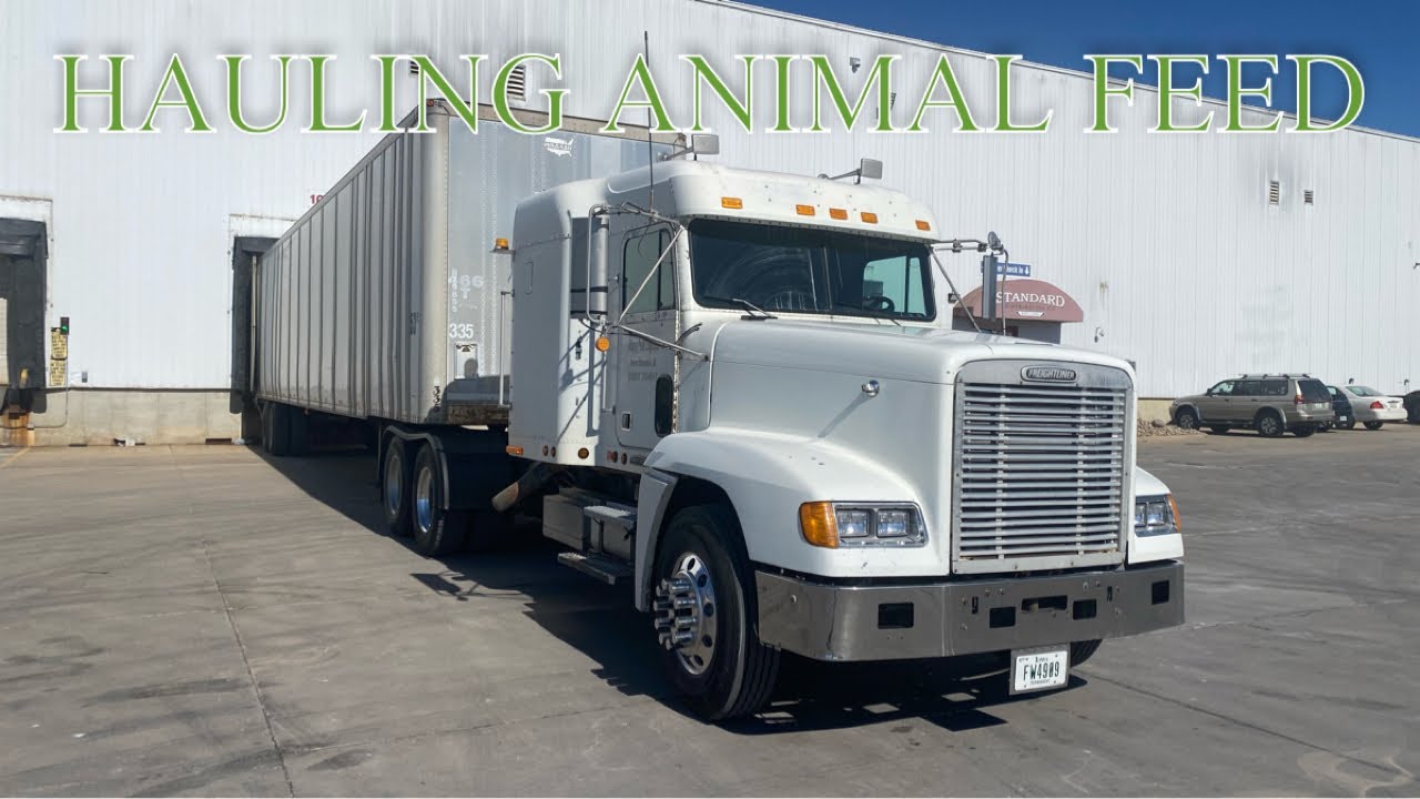 Hauling Animal Feed (Dry Van Trucking) - YouTube