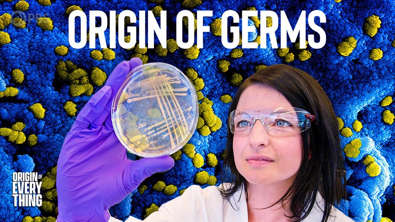 How We Discovered Germs - YouTube
