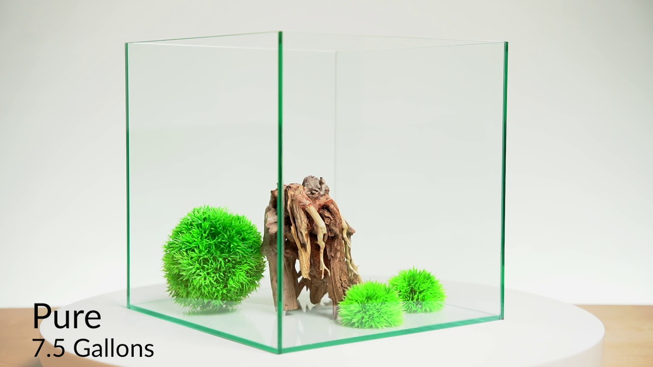 SP Cube Tank Overview Rimless Aquariums - YouTube