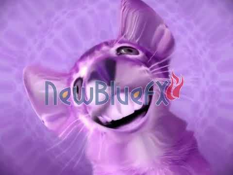 Preview 2 Numa Cat 2022 V2 Center Effects