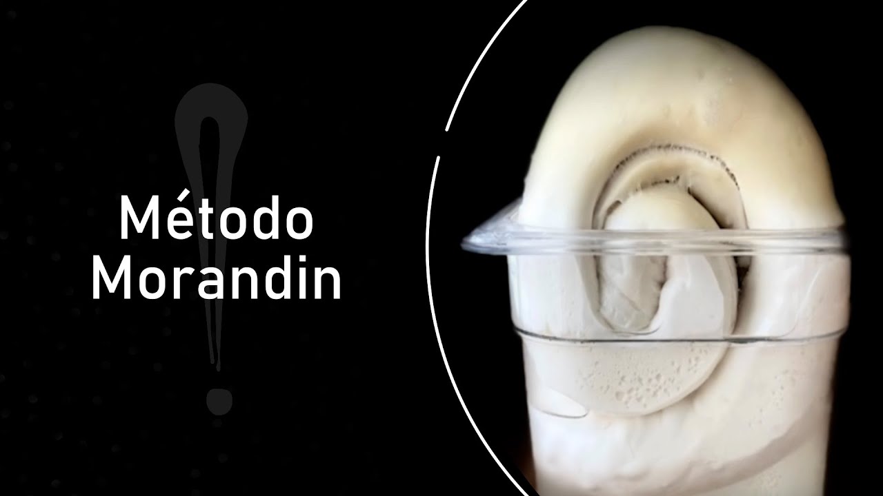 4.9 - Método Morandin - YouTube