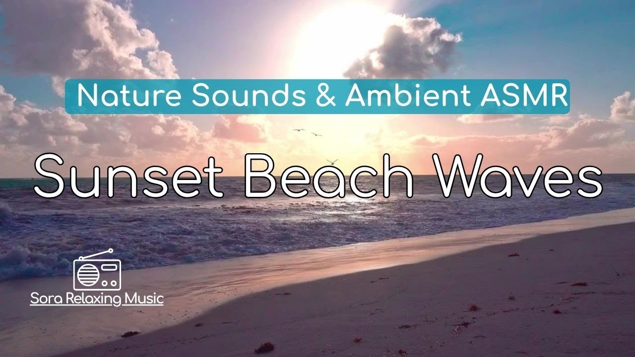Sunset Beach Waves | 1 Hour of Relaxing Ocean Sounds - YouTube