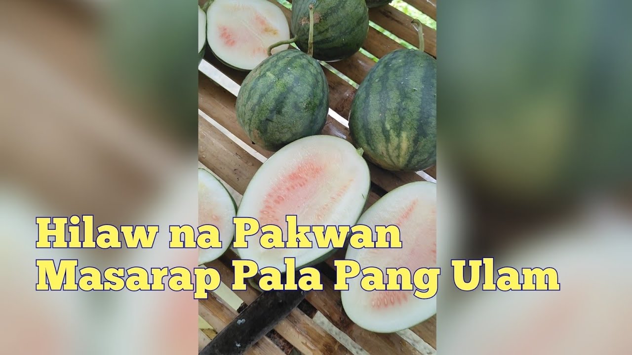 Hilaw na Pakwan Masarap Din pala Gulayin, Nasubukan nyo na ba ito ...