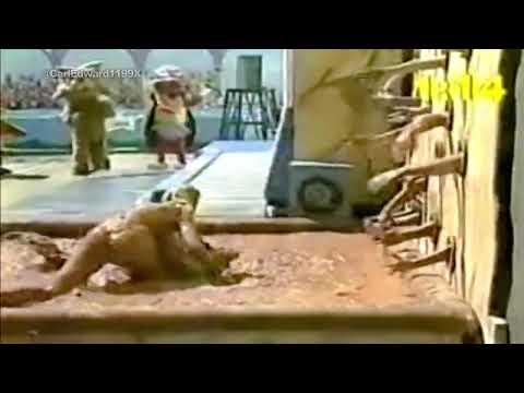 DL | Domingo Legal | Prova da Luta na Lama | Feminino | DLLLF002