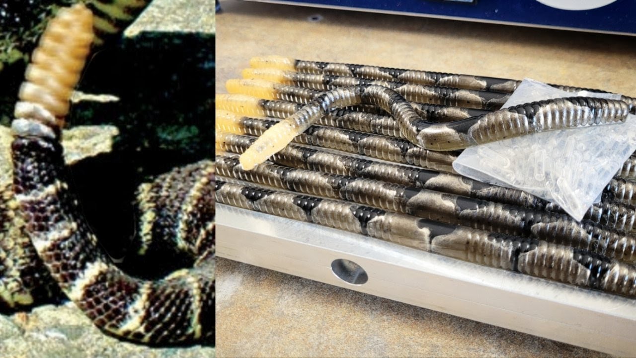 Making Rattlesnake Worms With Rattles In The Tails! - YouTube