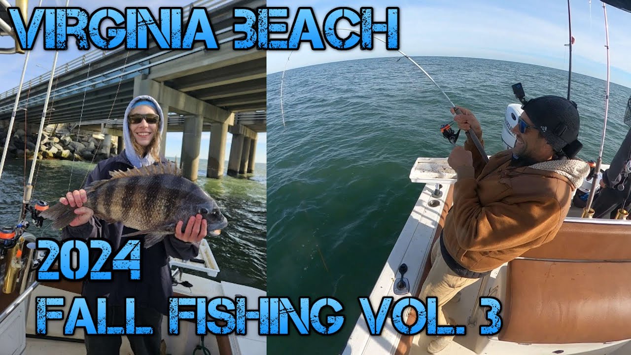 Virginia Beach Fall Fishing - Rogue November Sheepshead!!! - YouTube