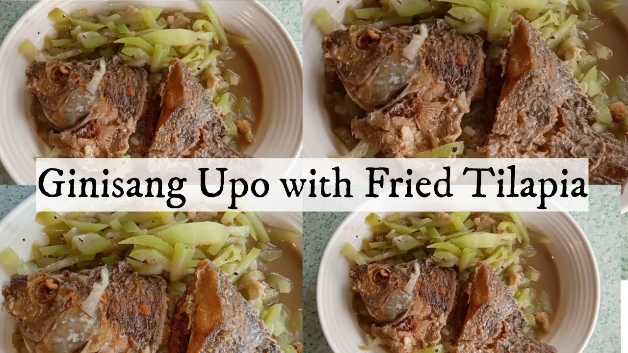 Ginisang Upo with Fried Tilapia - YouTube