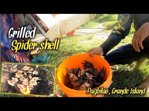 Saang (Spider shell) Catch and Cook inihaw lang pang pulutan😅 - YouTube