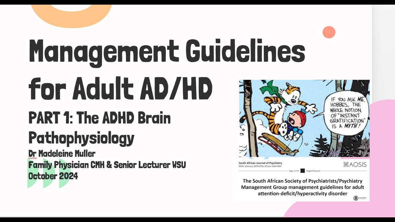 The Adults with ADHD Part 1: The ADHD Brain - YouTube