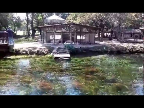 Enchanted spring |Вълшебният извор (09.2015) - YouTube