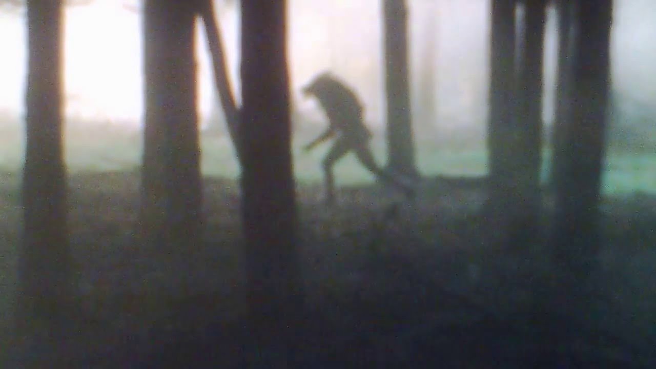 AMAZING DOGMAN PHOTO 2016 - YouTube