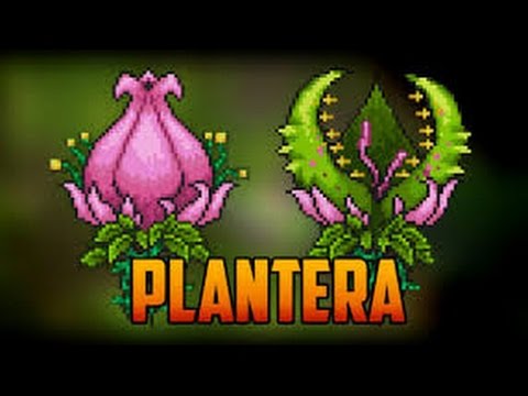 Plantera Boss Fight - Tutorial - How to kill Plantera - YouTube