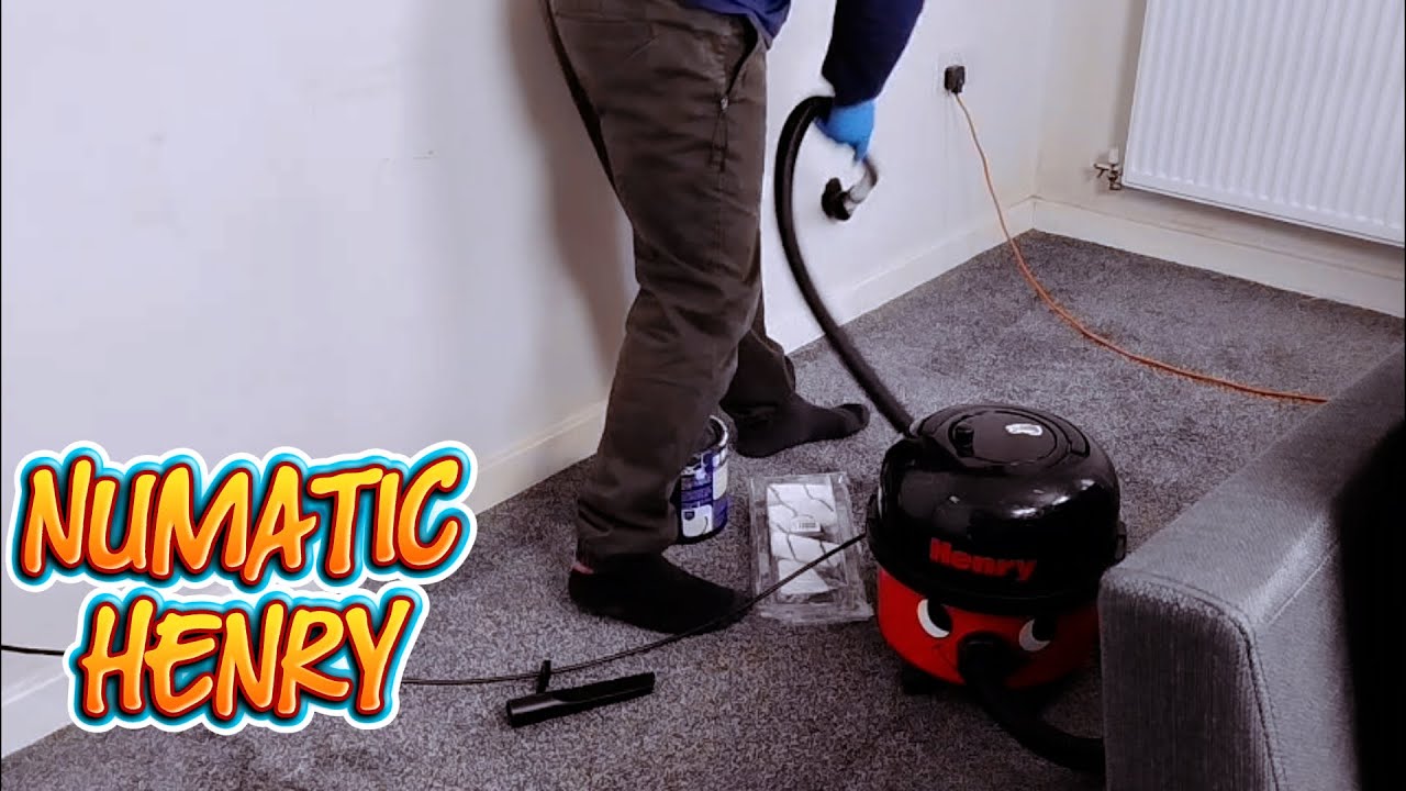 Putting the Numatic Henry HRV 200 to the Test | Lounge & Kitchen Vacuum ...