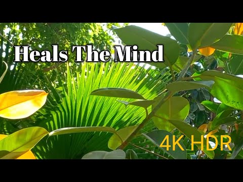 4K HDR Heals the Mind || Nature Beautiful Scenery || Beautiful Relaxing Video  || #nature #relax