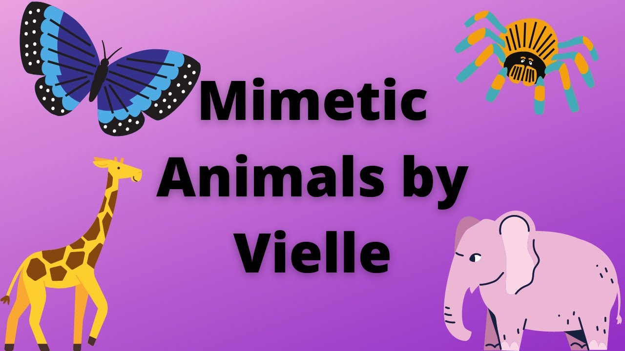 Mimetic Animals by Vielle - YouTube