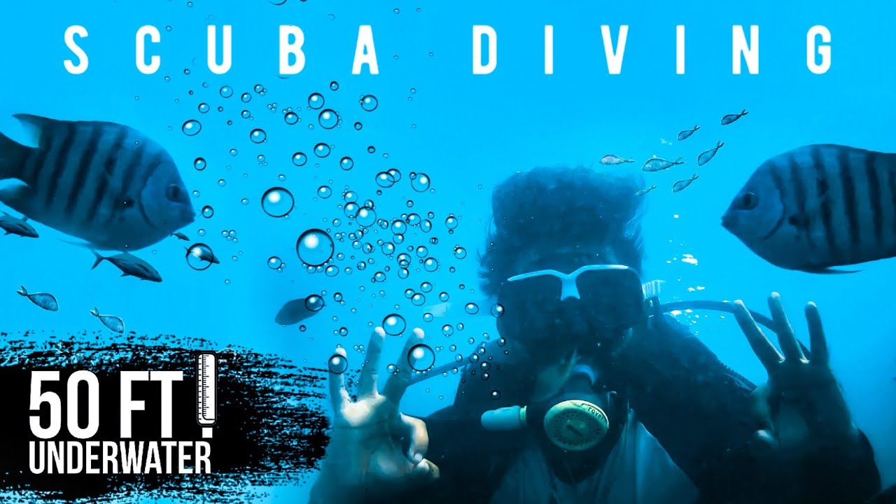 "Malvan Beach Scuba Diving - 50 Ft Underwater in Goa's Crystal Clear ...